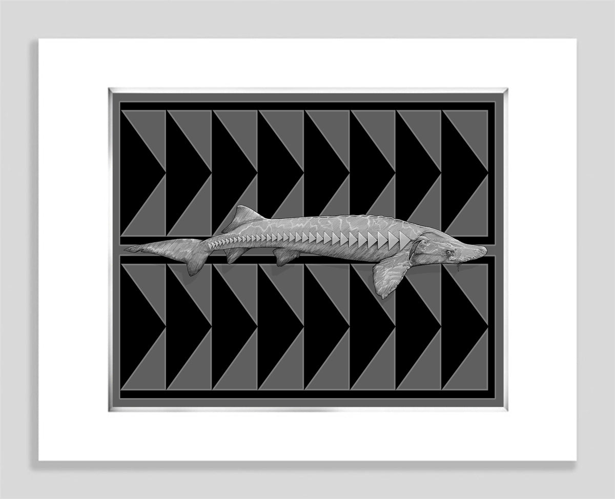 Sturgeon - Paper – Carl Avery Studios